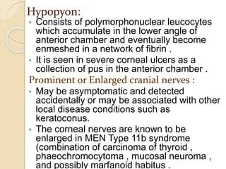 1.anatomy , physiology , pathology of cornea | PPT