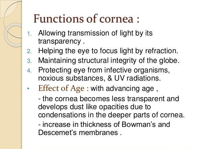 1.anatomy , physiology , pathology of cornea