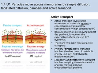 1.4 Part 1 - Cell Transport | PPT