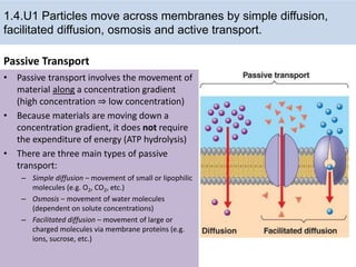 1.4 Part 1 - Cell Transport | PPTX