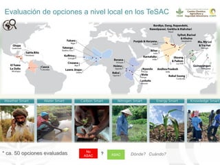 Presentación Programa CCAFS - Taller Género | PDF