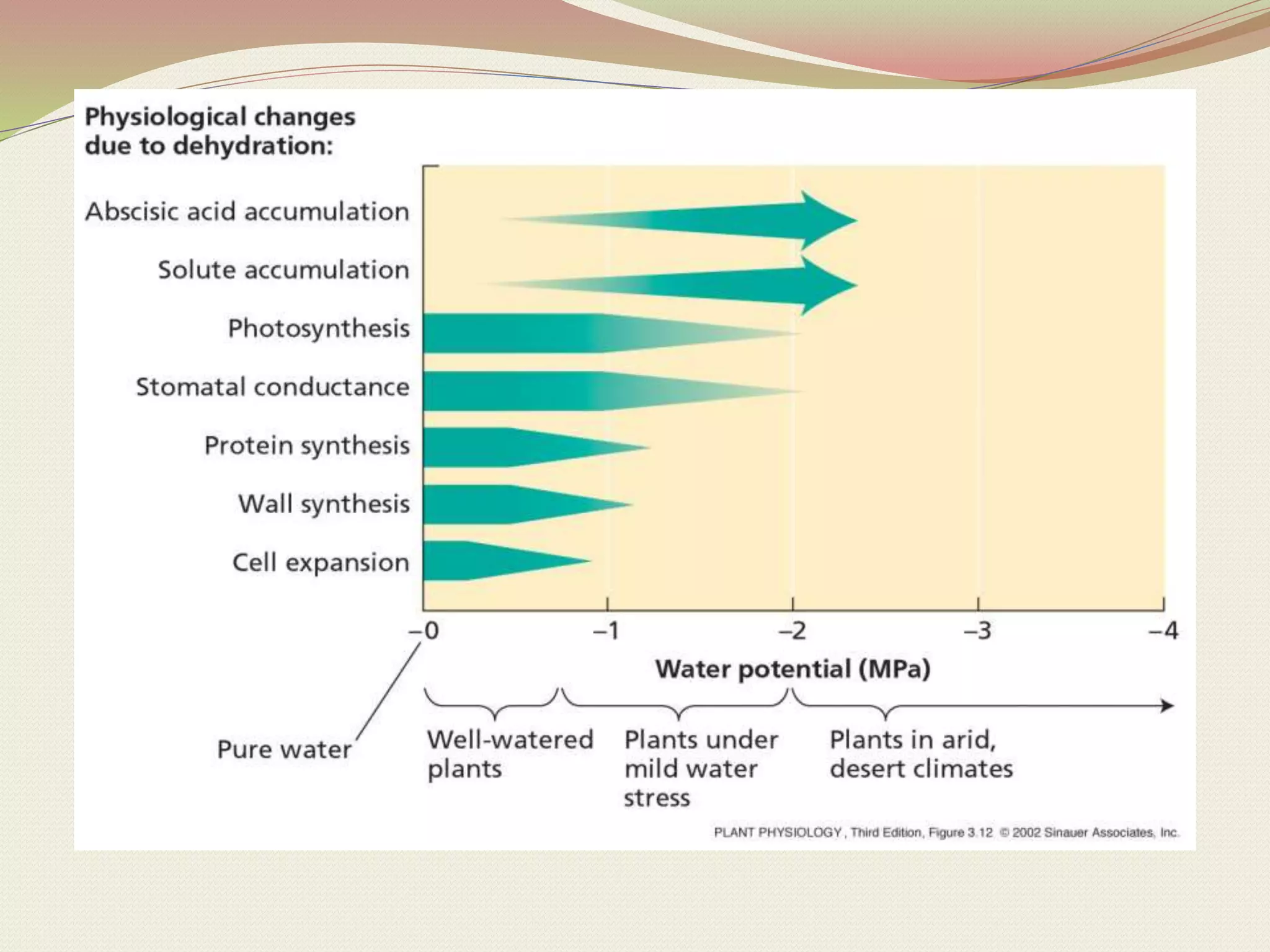 Plant stress definition and classification | PPTX