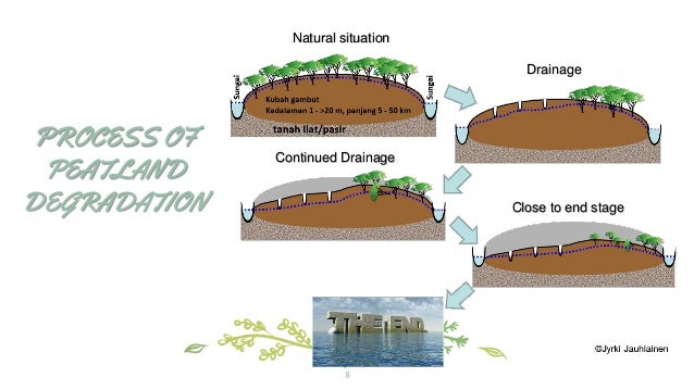 Protection and management of peatland ecosystem