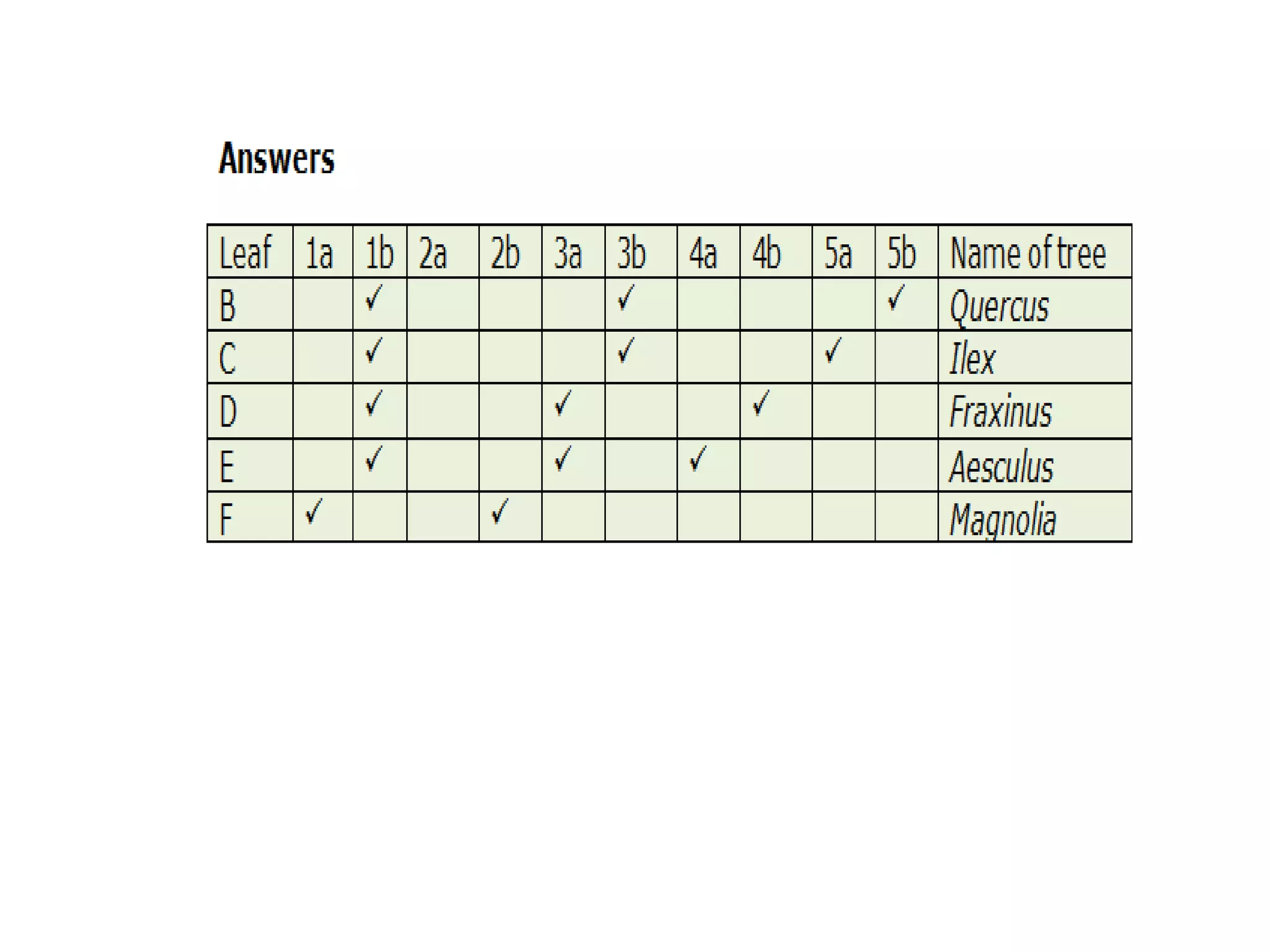 classifying animals & phylum arthropods / classifying plants ...