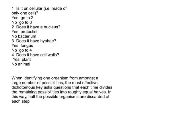 classifying animals & phylum arthropods / classifying plants ...