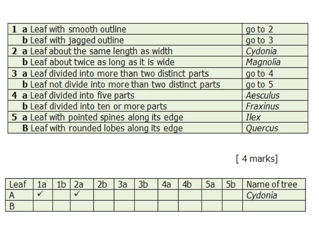classifying animals & phylum arthropods / classifying plants ...