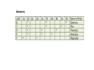 classifying animals & phylum arthropods / classifying plants ...