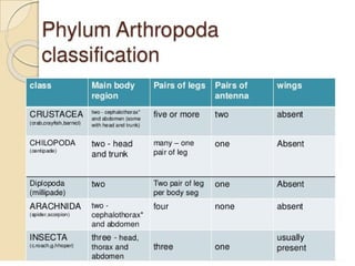 classifying animals & phylum arthropods / classifying plants ...