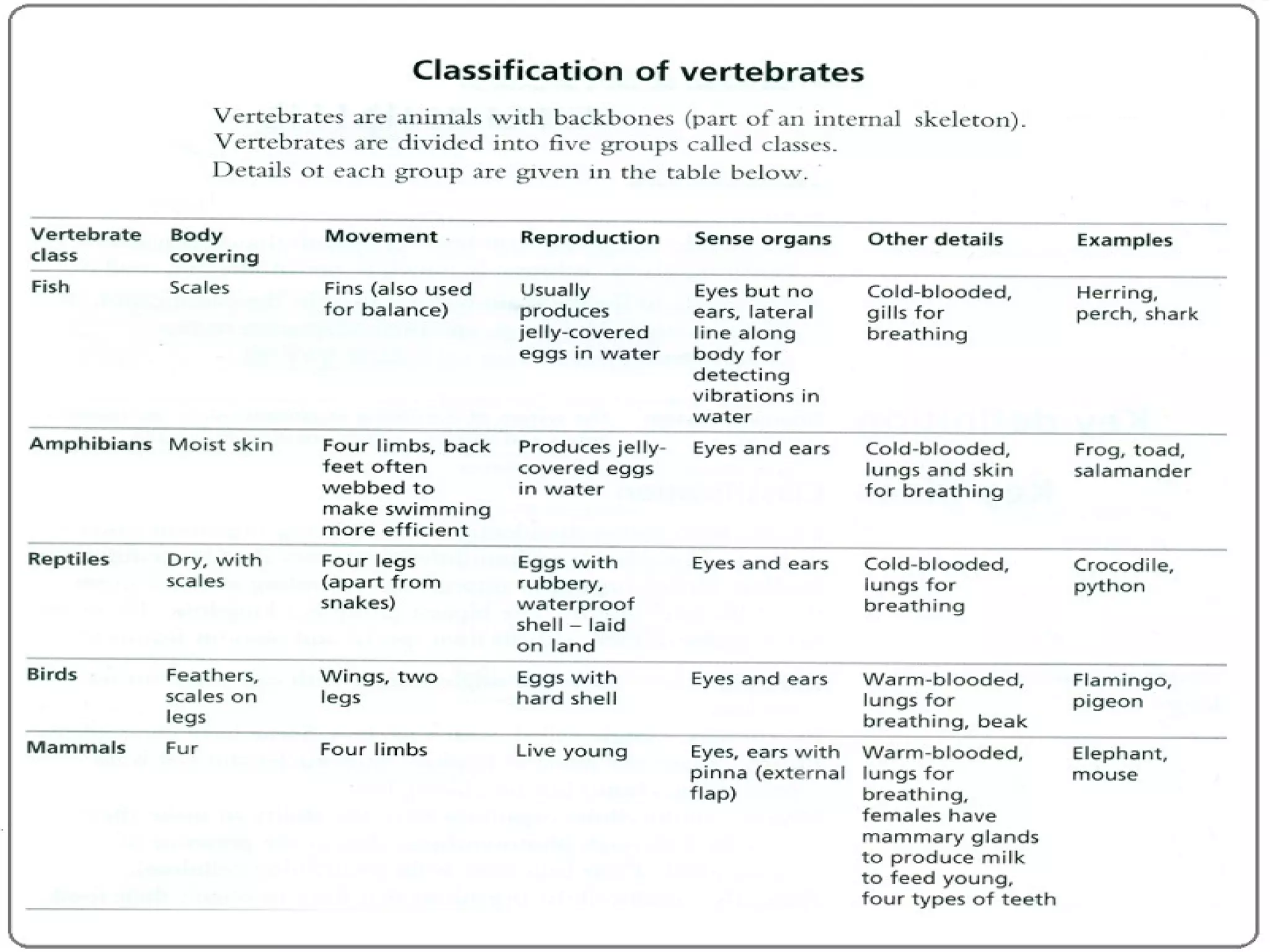 IGCSE Biology - classifying animals phylum vertebrates - five classes | ODP