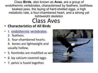 IGCSE Biology - classifying animals phylum vertebrates - five classes | ODP