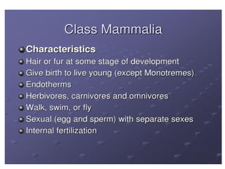 IGCSE Biology - classifying animals phylum vertebrates - five classes | ODP