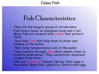 IGCSE Biology - classifying animals phylum vertebrates - five classes | ODP