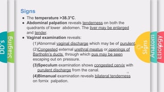 Pelvic Inflammatory Disease | PPTX