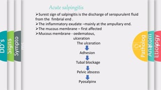 Pelvic Inflammatory Disease | PPT