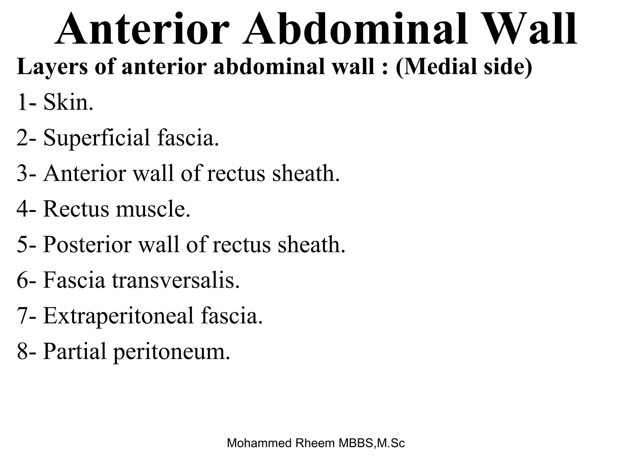 anterior abdominal wall | PPT