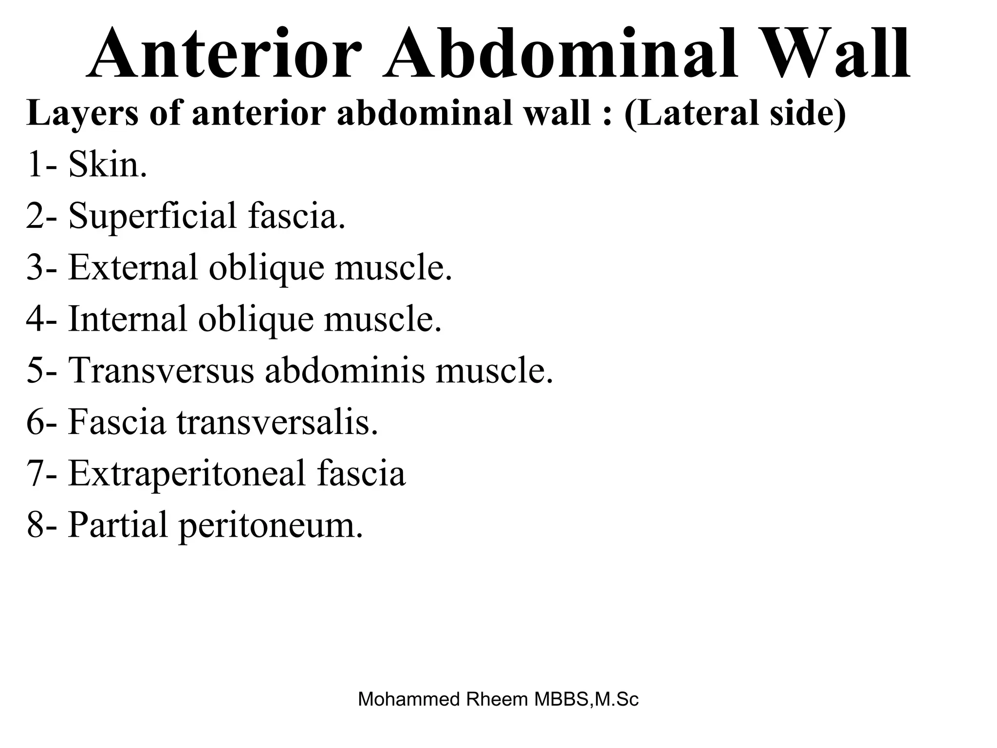 anterior abdominal wall | PPT