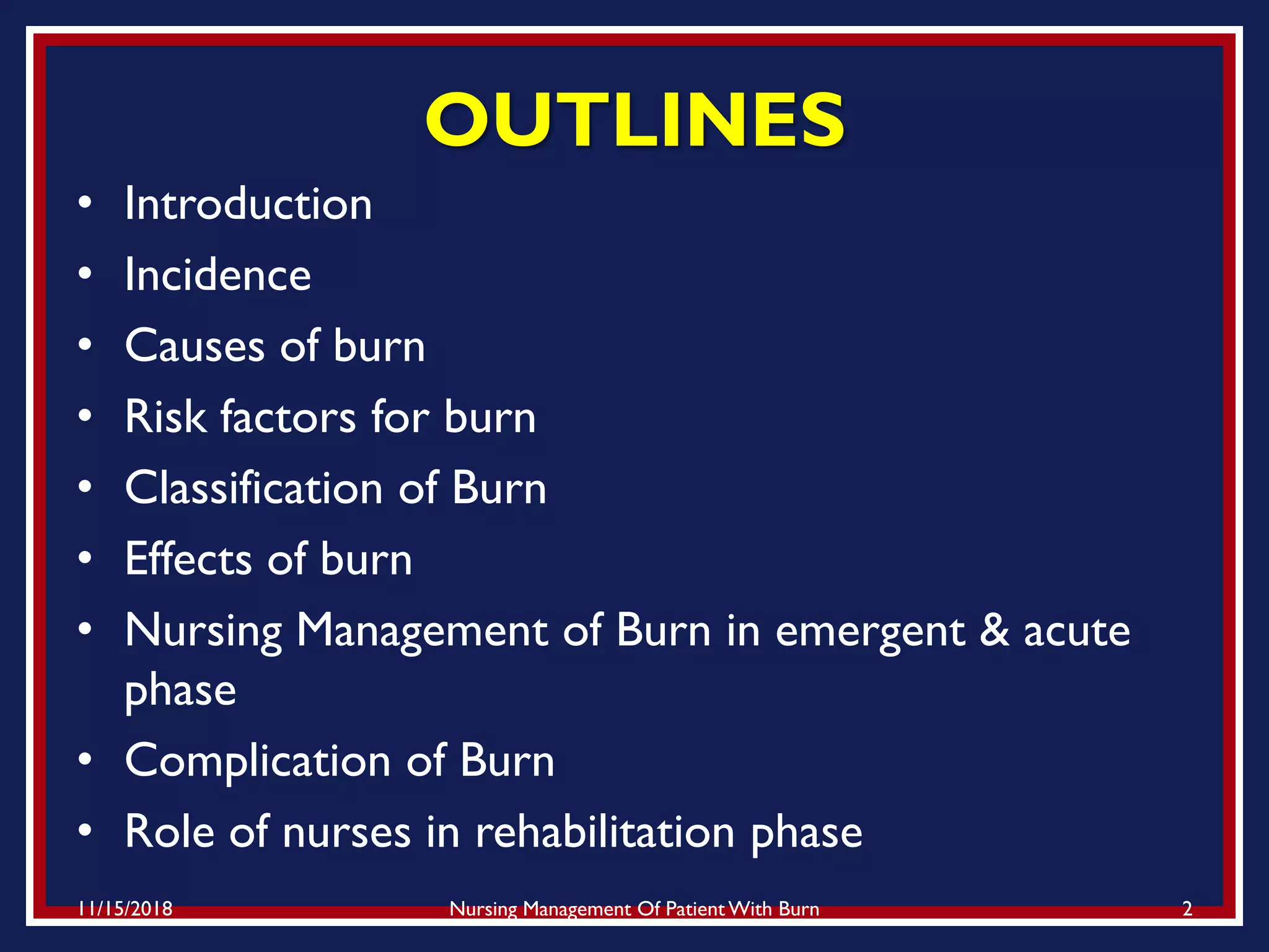 1. burn cne ppt | PDF