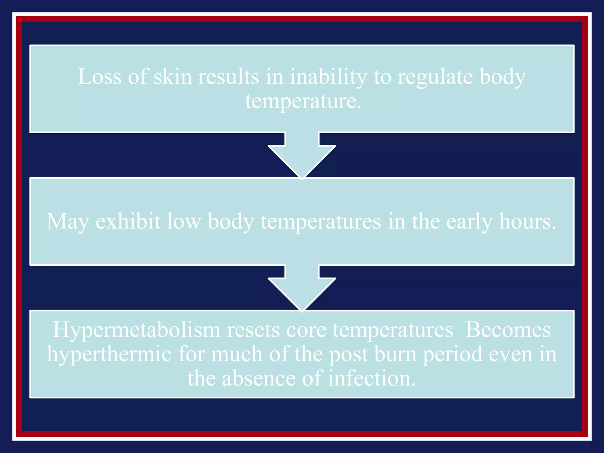 1. burn cne ppt | PDF