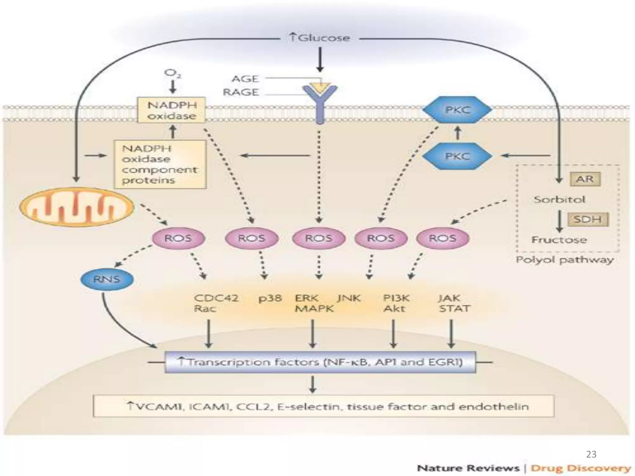 case presentation on CKD | PPTX