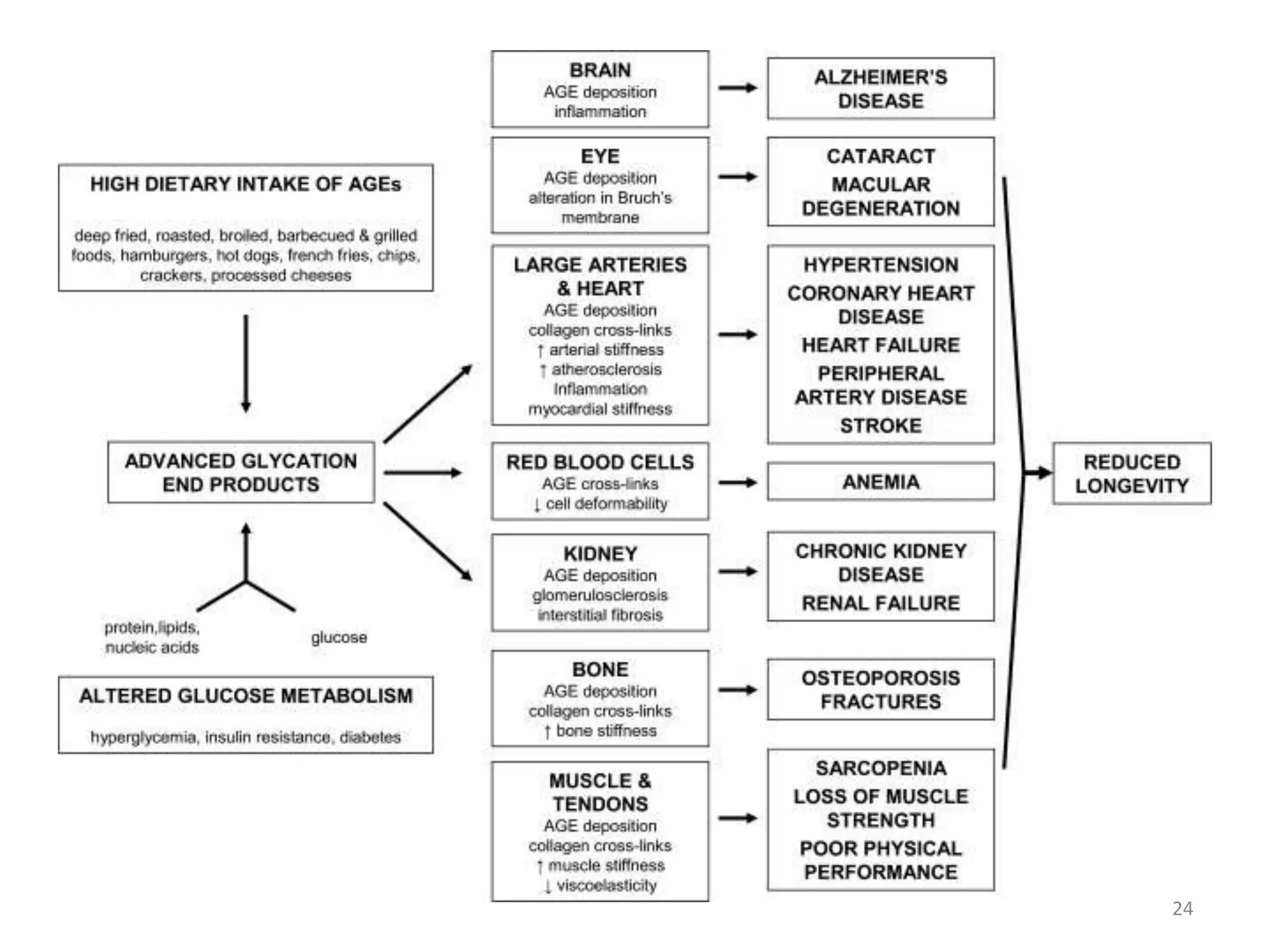 case presentation on CKD | PPTX