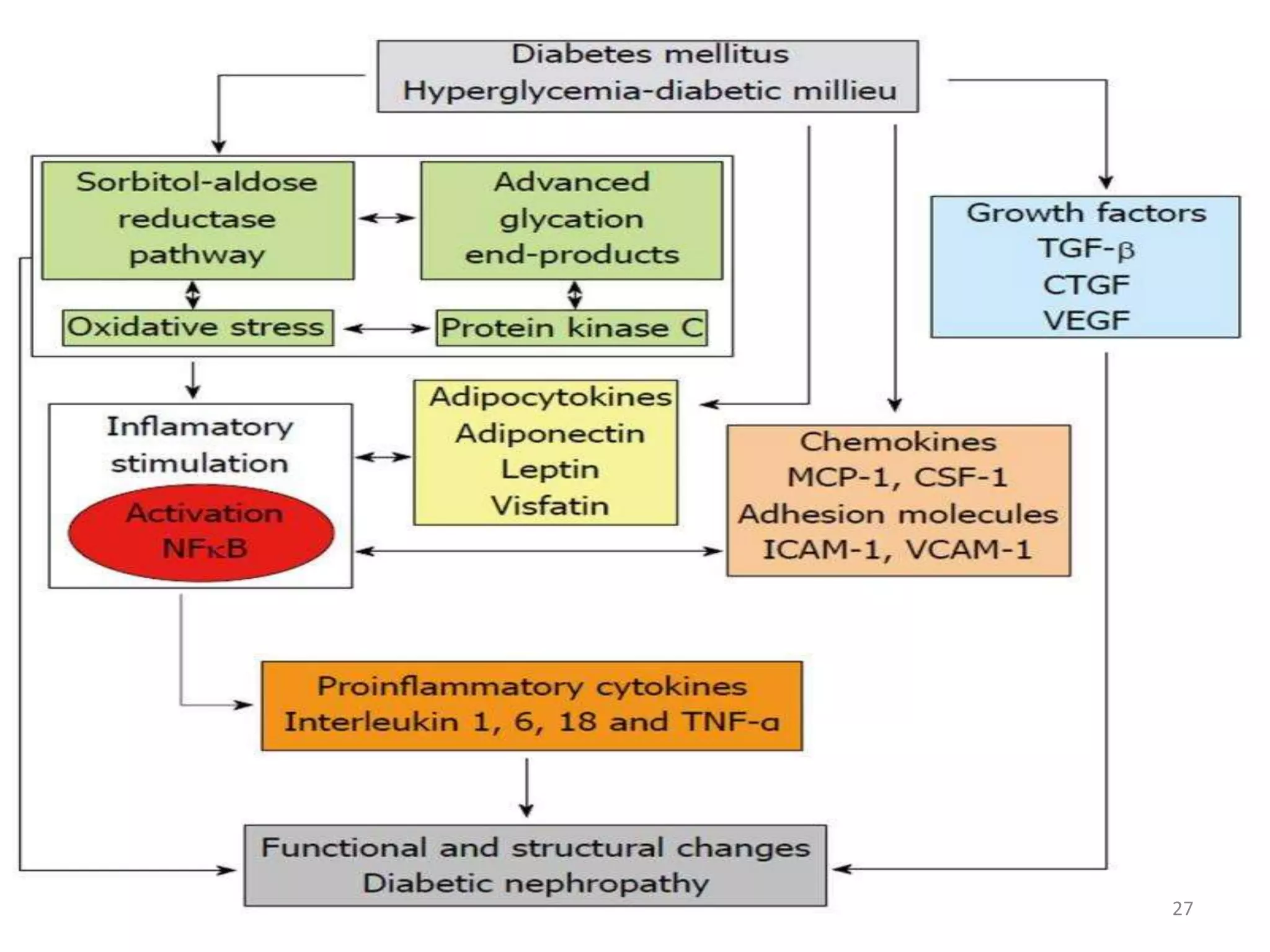 case presentation on CKD | PPTX
