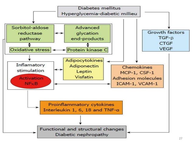 case presentation on CKD | PPTX