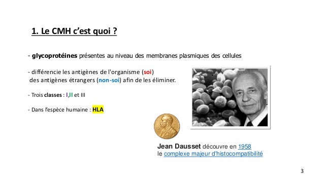 complexe majeur d'histocompatibilité cours