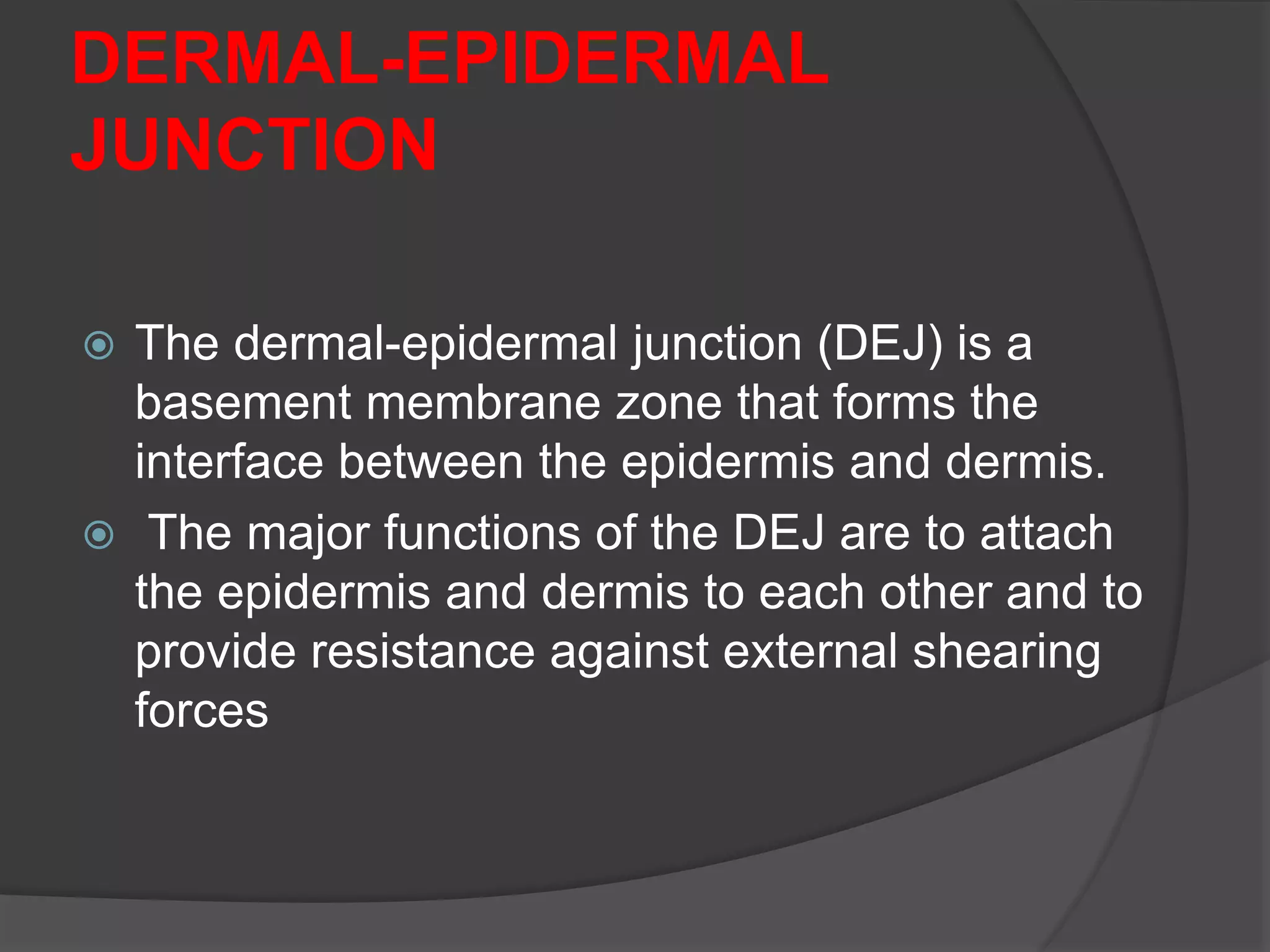 1. Basic structures and functions of skin | PPTX