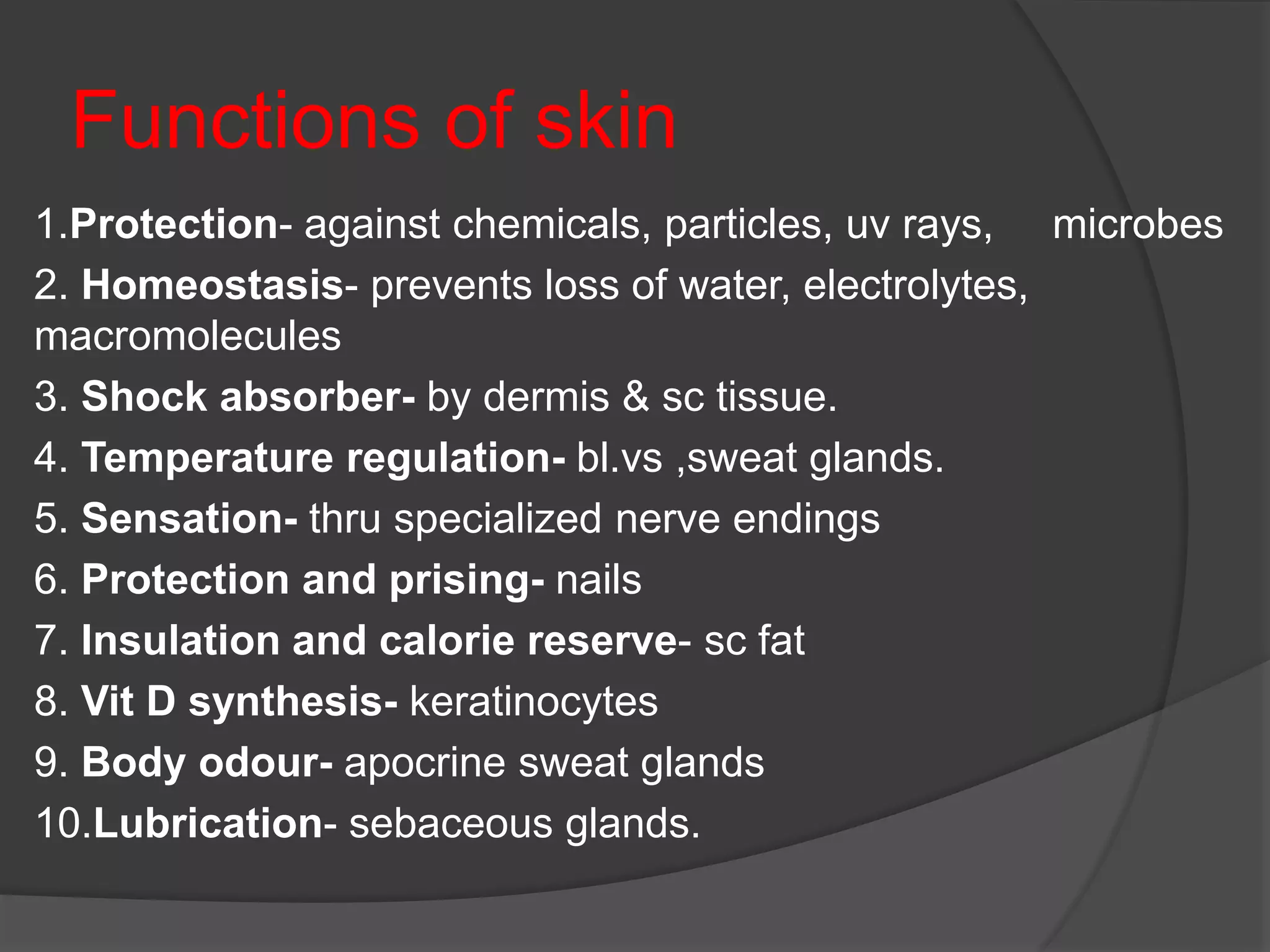 1. Basic structures and functions of skin | PPTX