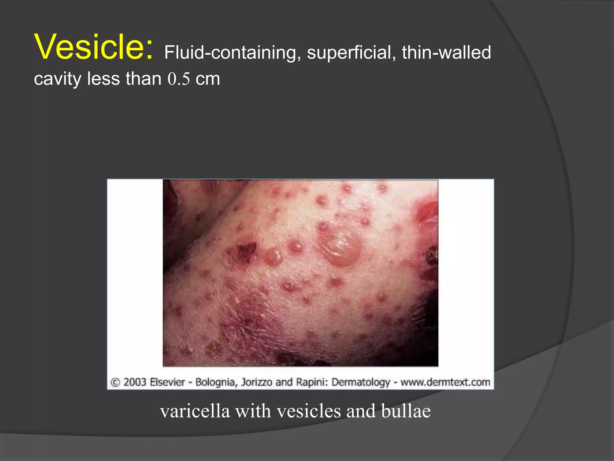 1. Basic structures and functions of skin | PPTX