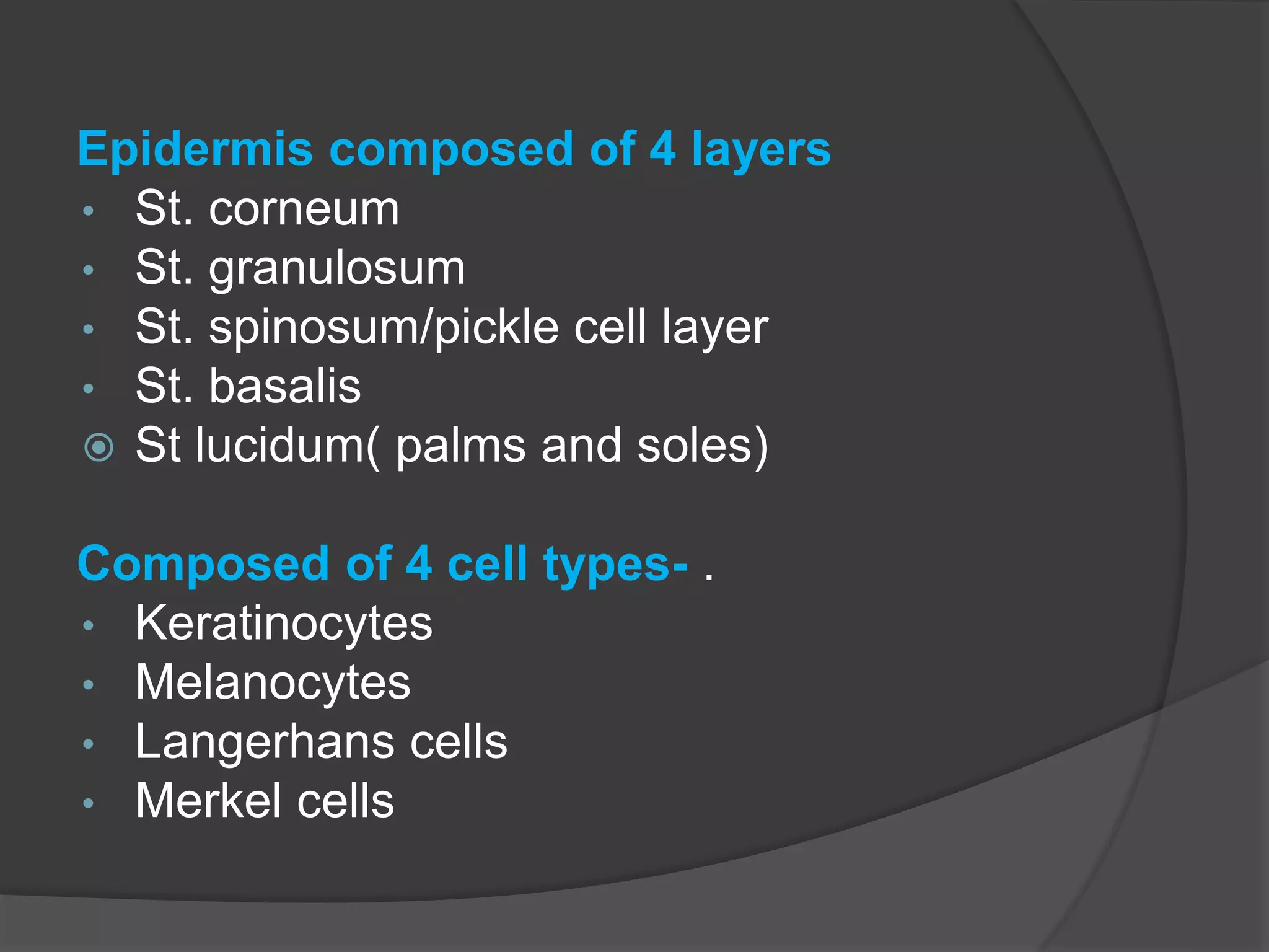 1. Basic structures and functions of skin | PPTX