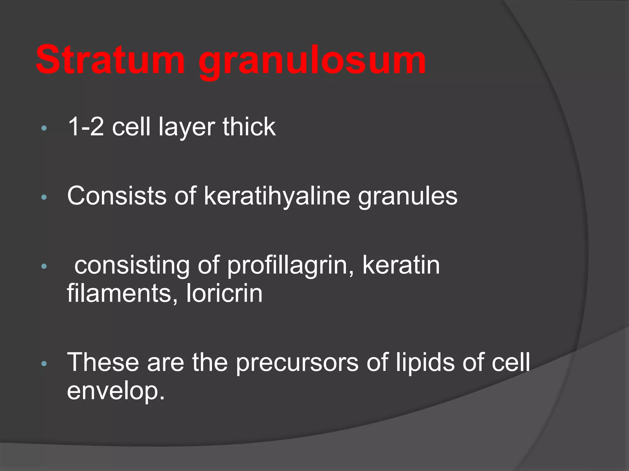 1. Basic structures and functions of skin | PPTX