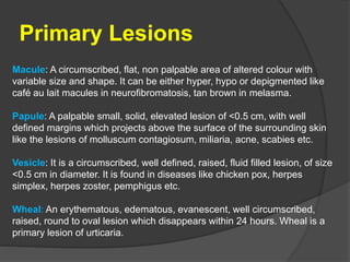 1. Basic structures and functions of skin | PPTX