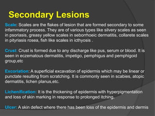1. Basic structures and functions of skin | PPTX
