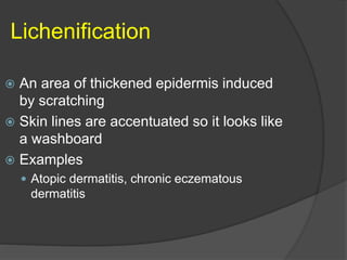 1. Basic structures and functions of skin | PPTX