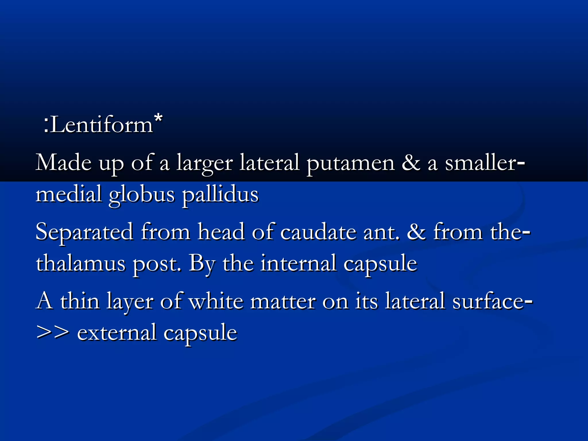 Radiological Anatomy Of The Brain Ppt