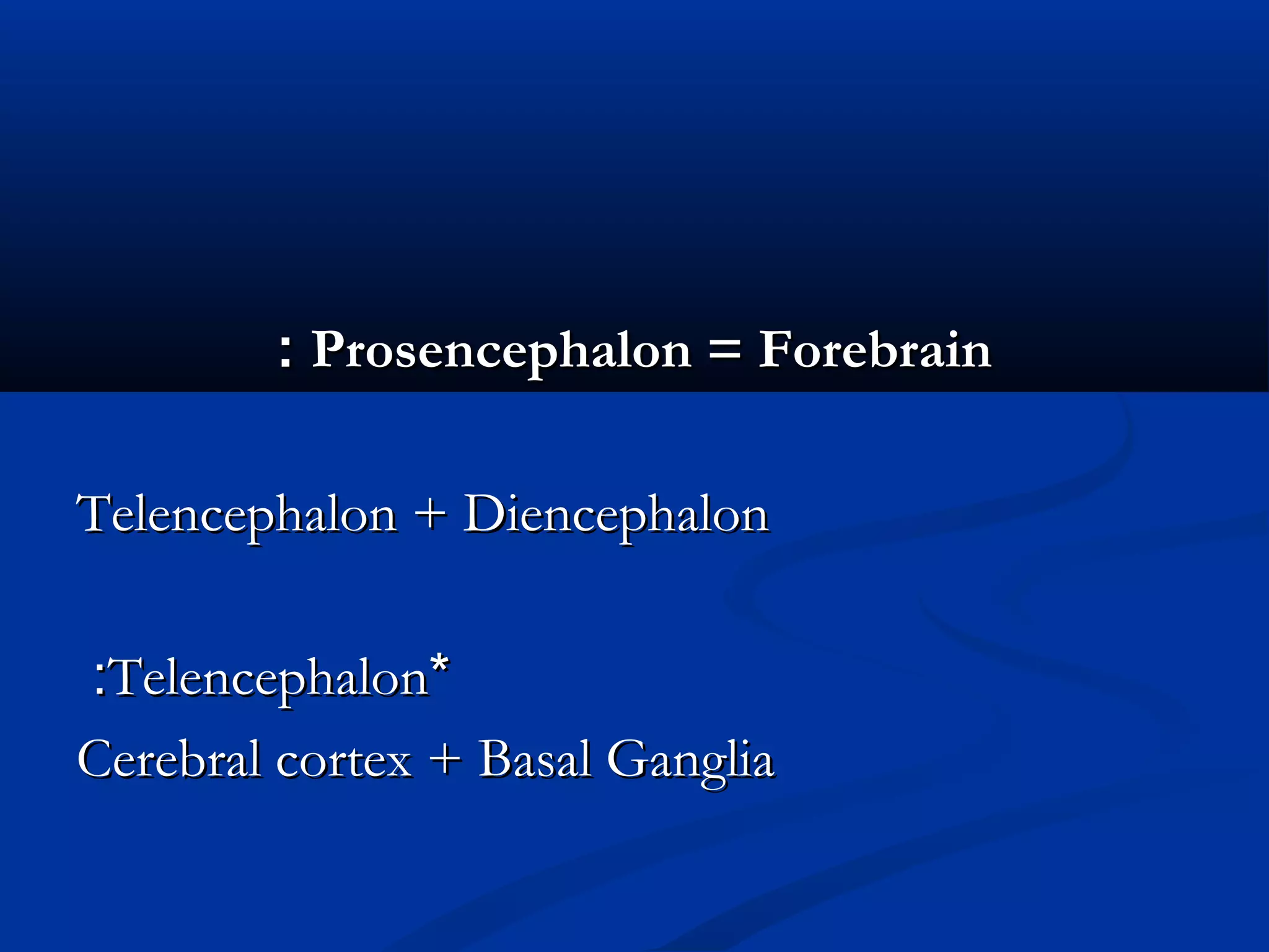 Radiological anatomy of the brain | PPT