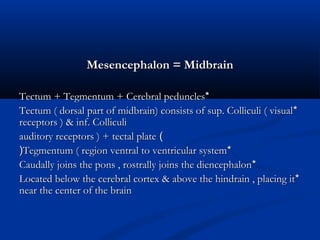 Radiological anatomy of the brain | PPT