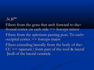 Radiological anatomy of the brain | PPT