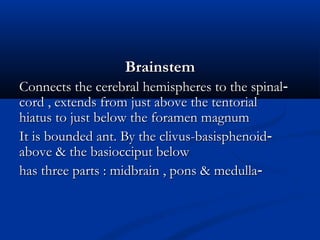 Radiological anatomy of the brain | PPT