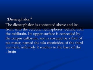 Radiological anatomy of the brain | PPT