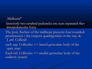 Radiological anatomy of the brain | PPT