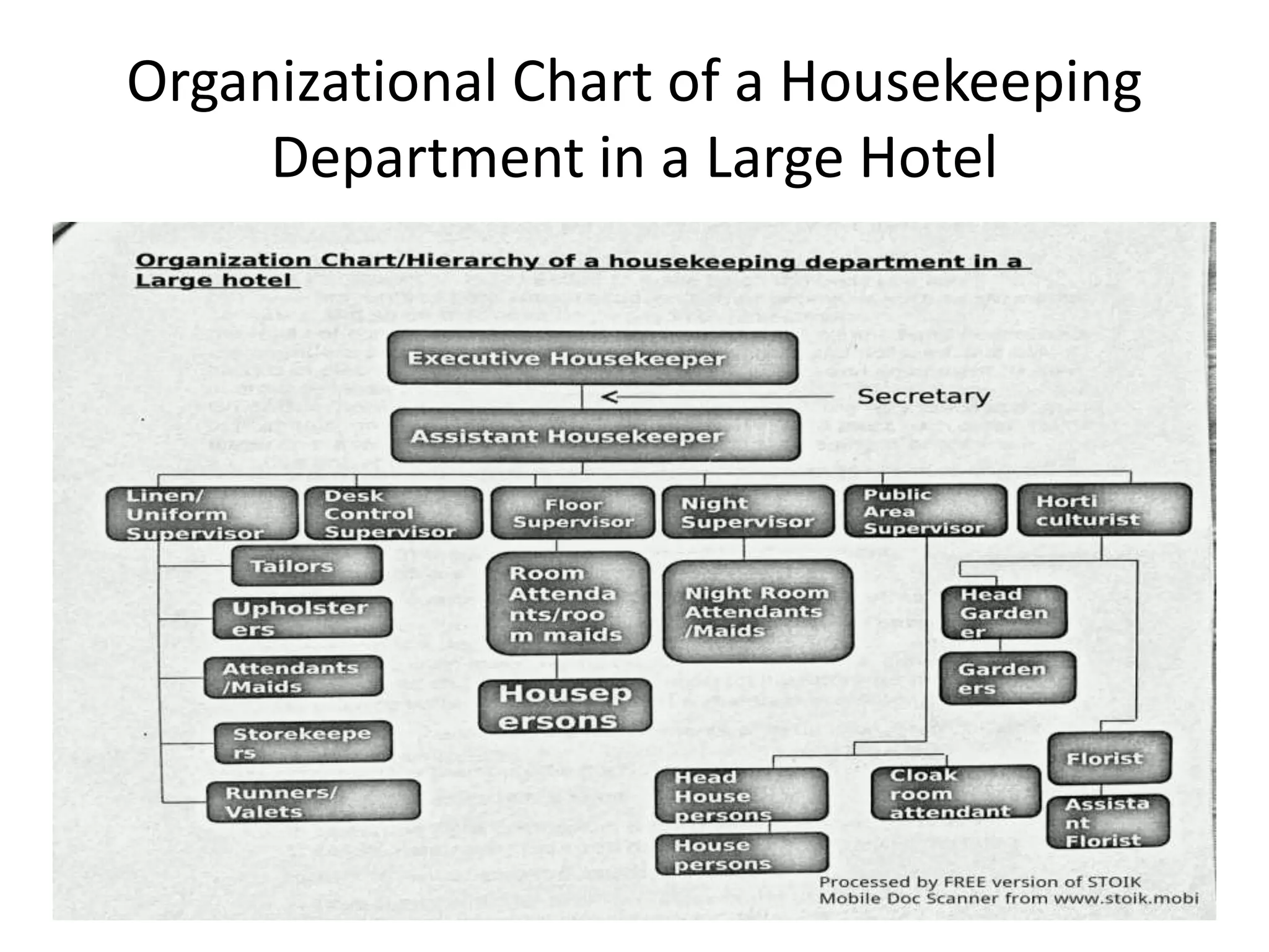 Introduction Housekeeping Organization | PPTX