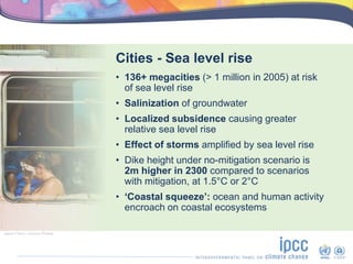 Cities and Climate Change - Cities and climate change adaptation | PPT