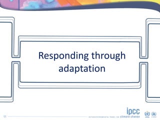 Cities and Climate Change - Cities and climate change adaptation | PPTX