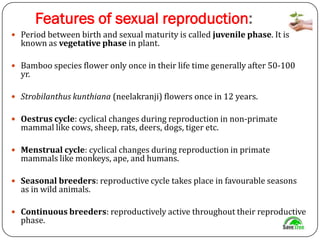reproduction in organisms in cells division | PPT