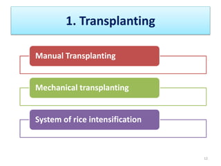 irrigation management in different rice establishment methods. | PPTX