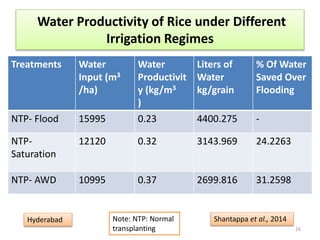 irrigation management in different rice establishment methods. | PPTX