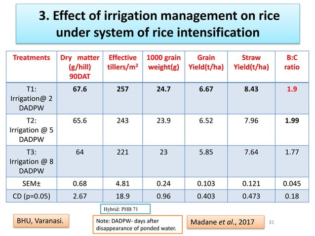 irrigation management in different rice establishment methods. | PPTX