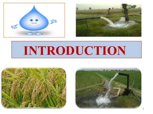 irrigation management in different rice establishment methods. | PPTX